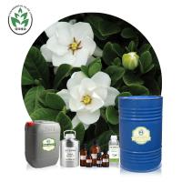 China Anti Oxidation Natural Essential Oils 100% Pure Gardenia Essential Oil Steam Distilled Extract for sale
