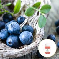 China Blueberry Seed Natural Essential Oils for sale