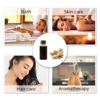 China Cas 8007 08 7 Pure Organic natural Ginger Essential Oil For Massage for sale