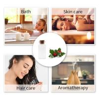 China CAS 68917 75 9 Herbal Essential Oils Methyl Salicylate Holly Essential Oil for sale