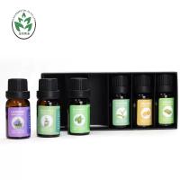 China 10ML 6pcs Aromatherapy Essential Oil Set Pure Natural Customized for sale