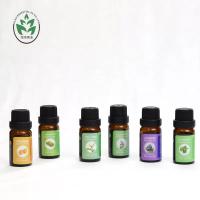 China 10ML 6pcs Aromatherapy Essential Oil Set Pure Natural Customized for sale