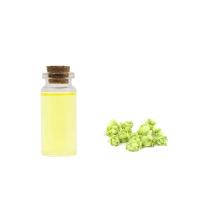 China Manufacturer pure organic medical wholesale bulk essential oil hops oil for sale