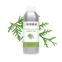 China Platycladus Orientalis 100 Natural Essential Oils Arborvitae Essential Oil for sale