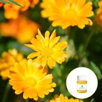 China 100% Pure Natural Organic Calendula Essential Oil Marigold Oil for sale