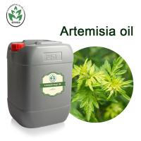 China Natural Pure Artemisia Argyi Essential Oil Whole Body Massage Oil Whitening Spa For Women for sale