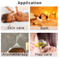China Natural Pure Artemisia Argyi Essential Oil Whole Body Massage Oil Whitening Spa For Women for sale