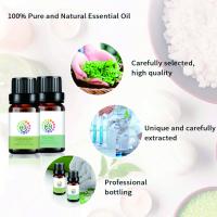 China Private Label High Quality Organic Essential Oil Gift Set wholesale 24pcs/sets for Aromatherapy Diffuser for sale