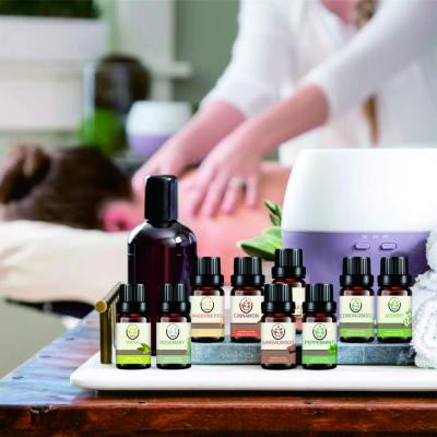 China Private Label High Quality Organic Essential Oil Gift Set wholesale 24pcs/sets for Aromatherapy Diffuser for sale