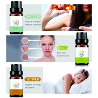 China Natural Diffuser Aromatherapy Massage Oil Aroma Essential Oils Gift Set With 14 Fragrance for sale