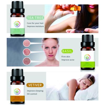 China Natural Diffuser Aromatherapy Massage Oil Aroma Essential Oils Gift Set With 14 Fragrance for sale