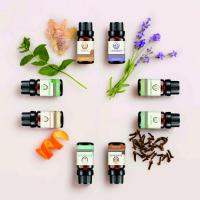 China Natural Diffuser Aromatherapy Massage Oil Aroma Essential Oils Gift Set With 14 Fragrance for sale