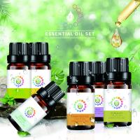 China Natural Diffuser Aromatherapy Massage Oil Aroma Essential Oils Gift Set With 14 Fragrance for sale