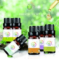 China Christmas Aromatherapy Essential Oils Wholesale OEM PackageWith 6 Fragrance for sale