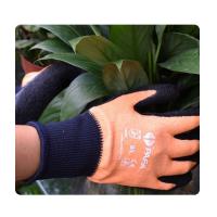China Flower Shop Firm Grip Protective Gardening Latex Gloves With Different Color for sale