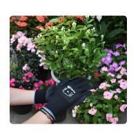 China Flower Shop Firm Grip Protective Gardening Latex Gloves With Different Color for sale