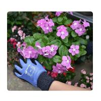 China 13 Gauge Polyester Knit Household And Planting Flower Latex Gloves for sale