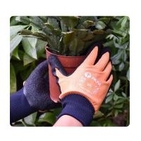 China Orange Polyester Seamless Liner Ultimate Dexterity Rubber Protective Gardening Gloves for sale
