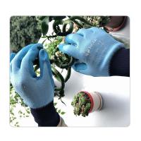 China 15 Gauge Blue Elastic Polyester Liner Landscaping Latex Gloves for sale