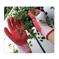 China 13 Gauge White Polyester Knit Women Gardening Latex Gloves for sale