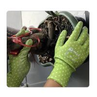 China Urban Park Service And Afforestation Green Polyester Nitrile Gloves for sale