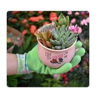 China Gardening Green Bamboo Fiber With Latex Gloves for sale
