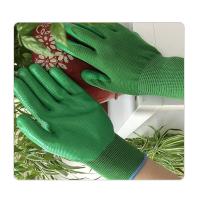 China Green Tight Polyester Fiber With Smooth Nitrile Gloves for sale