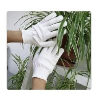 China 13 Gauge Polyester Liner Gloves For Housework Cleaning for sale