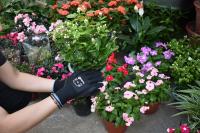 China 13 Gauge Black Polyester Liner Gardening Latex Work Gloves for Cold Weather for sale