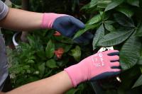 China Pink Nylon Seamless Liner Women Gardening Clip Use Sandy Latex Palm Coated Gloves for sale