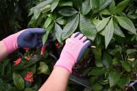 China Pink Nylon Seamless Liner Women Gardening Clip Use Sandy Latex Palm Coated Gloves for sale