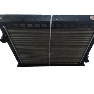 China sinotruk chassis parts-WG9719530231 6 radiator for sale