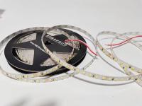 China Eco-Friendly LED Strip Lights in Cool White CCT 6000K 6500K Ready Stock Weight 0.18kg for sale