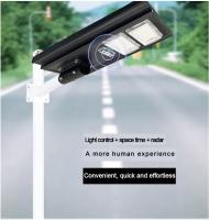 China Lighting and Circuitry Design for 0.23kg Power Induction Street Light in Rural Areas for sale
