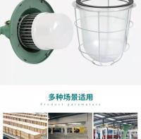 China 200w Explosion-proof LED Bulb for Indoor/Outdoor in Chemical Plants Lighting Fixture for sale