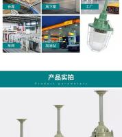 China 200w Explosion-proof LED Bulb for Indoor/Outdoor in Chemical Plants Lighting Fixture for sale