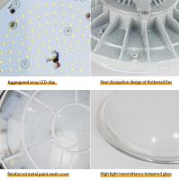 China 30W 50W 100W 200W Led Explosion Proof High Bay Light 110lm Luminous Flux for Warehouse for sale