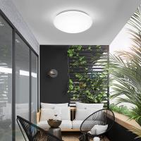 China Surface Mounted LED Ceiling Lamps Dimmable and Modern Design for Living Room Kitchen for sale