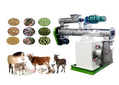 China Stainless Steel Pig Poultry Feed Manufacturing Plant 5-10 Tons Per Hour Capacity Durable Construction for sale