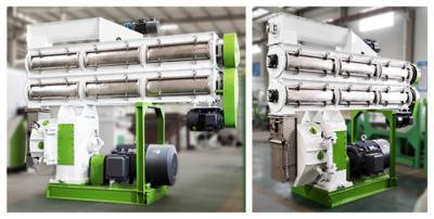 China Stainless Steel Chicken Feed Pellet Machine 7.5-22kW with 100-500 kg/h Production Capacity for Broiler Feed Manufacturing for sale