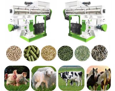 China Livestock Pellet Production Equipment with Siemens Motor and SKF Bearing Ring Die for Commercial Feed Manufacturing for sale