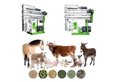China CE Certified Animal Feed Production Plant with Adjustable 50-200 RPM Speed and 5 TPH Capacity for sale