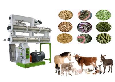 China Industrial Stainless Steel Pellet Production Equipment - 100-1000 kg/hour Capacity with 7.5-37kW Power Range for sale