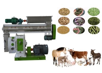 China High Efficiency Animal Feed Production Plant with 5-20 TPH Capacity and 45-75 kW Precision Gear Drive System for sale
