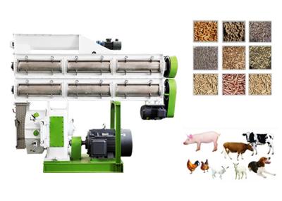 China Livestock Animal Feed Production Plant - 5-50 TPH Capacity for Grains & Soybean Cake Processing for sale
