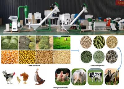 China Small Feed Factory Production Line with 2mm-12mm Pellet Size Range for Animal Feed Manufacturing for sale