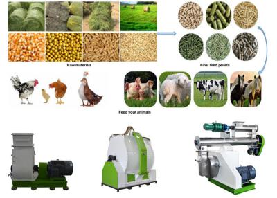 China Chicken Feed Production Line - 1-10 TPH Capacity Automated Animal Feed Manufacturing Equipment with PLC Control for sale