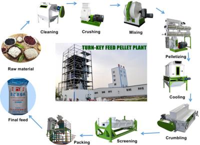 China Siemens Motor Livestock Animal Feed Production Line 1-10 TPH Capacity Pet Food Manufacturing System for sale