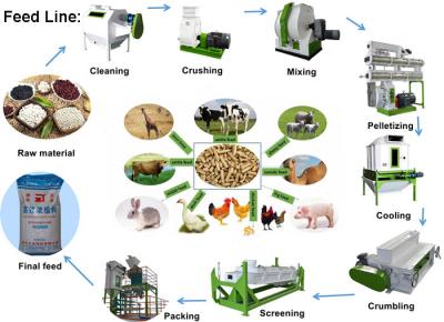 China ISO Certified Fish Feed Pellet Machine Production Line - 1-5 Tons/Hour Capacity with 1.0-8.0mm Pellet Sizing for sale