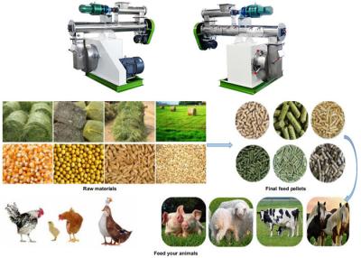 China Professional Animal Feed Pellet Production Line for Soybean Processing - 1-5 TPH Capacity, 30-75 kW Power for sale